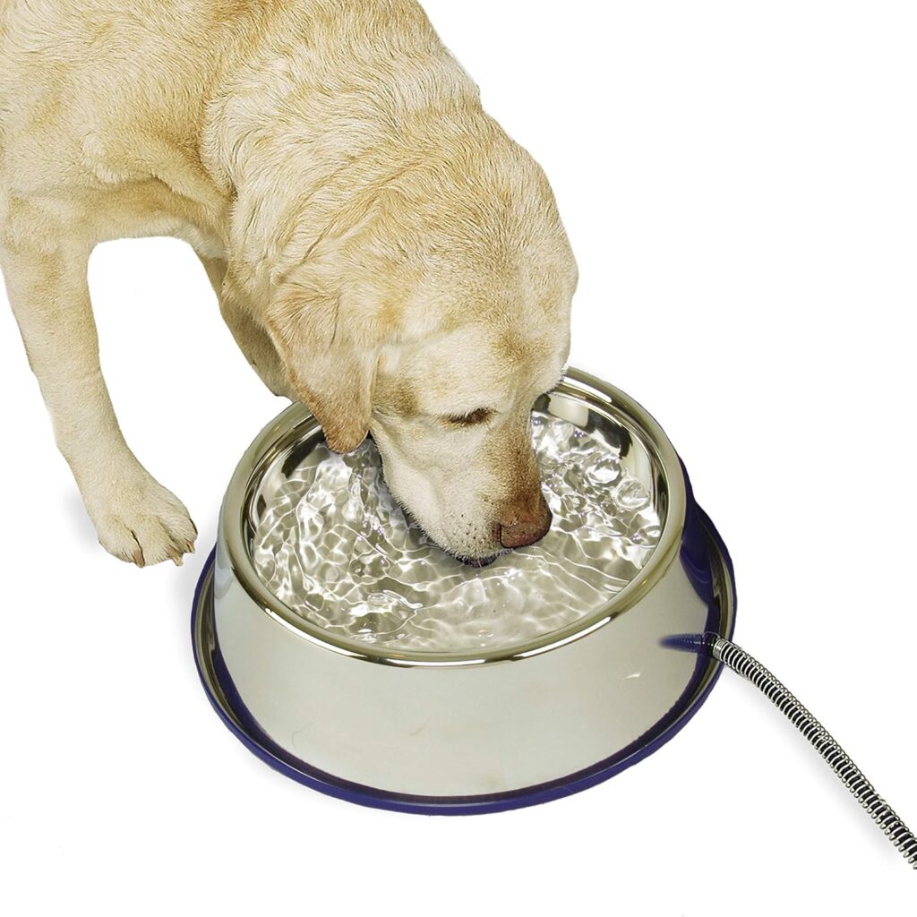Tazón Térmico de Agua para Gatos y Perros - Dr Mascota