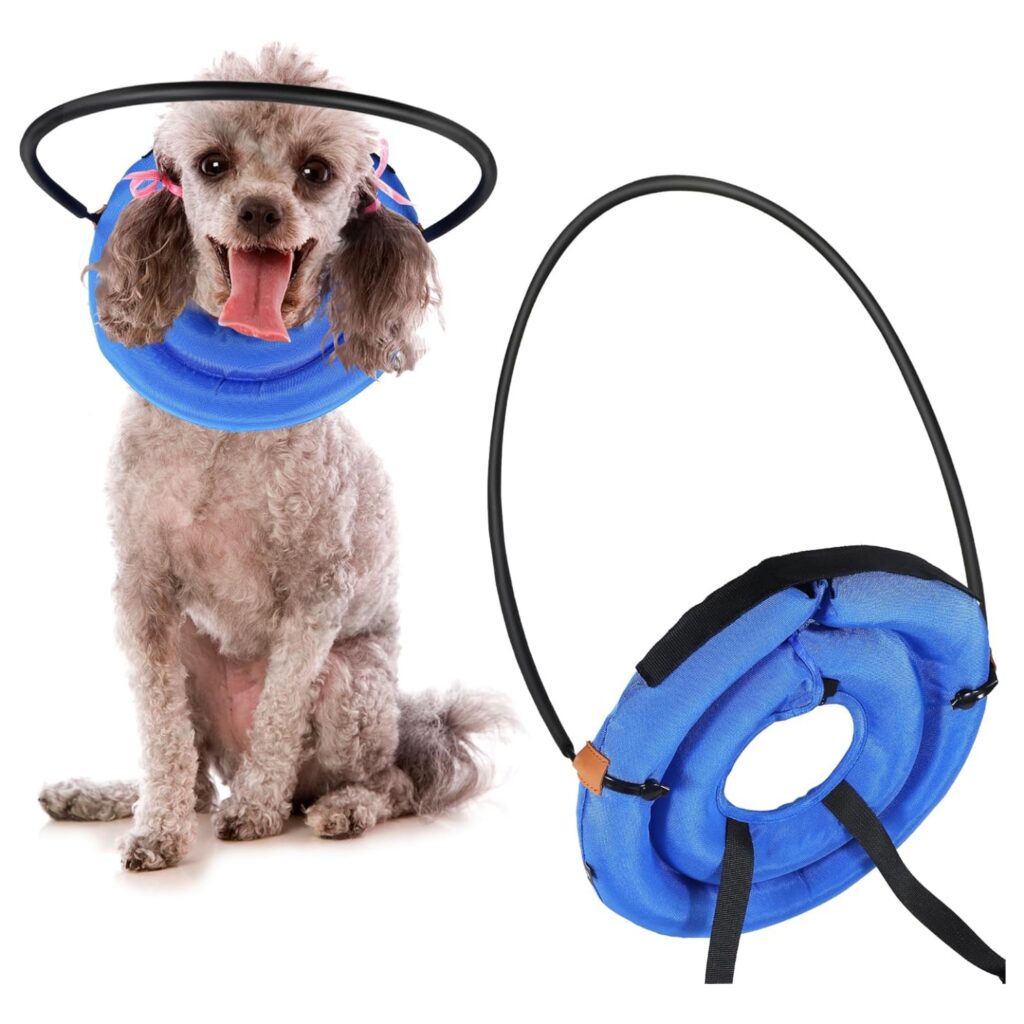 Collar para Perros Ciegos Ayuda a los Perros Ciegos a Redescubrir la ...