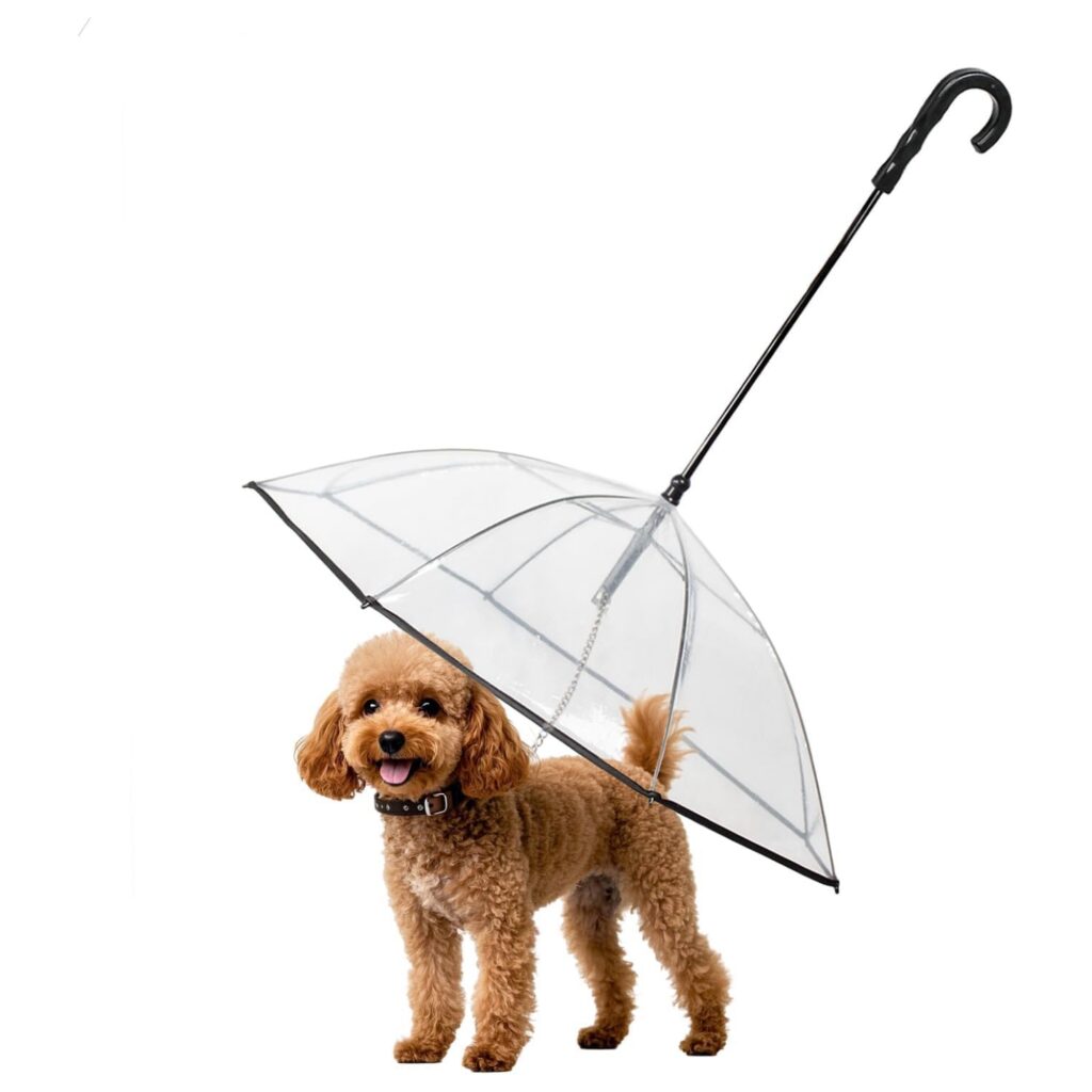 Paragua Transparente con Correa para Mascotas - Dr Mascota