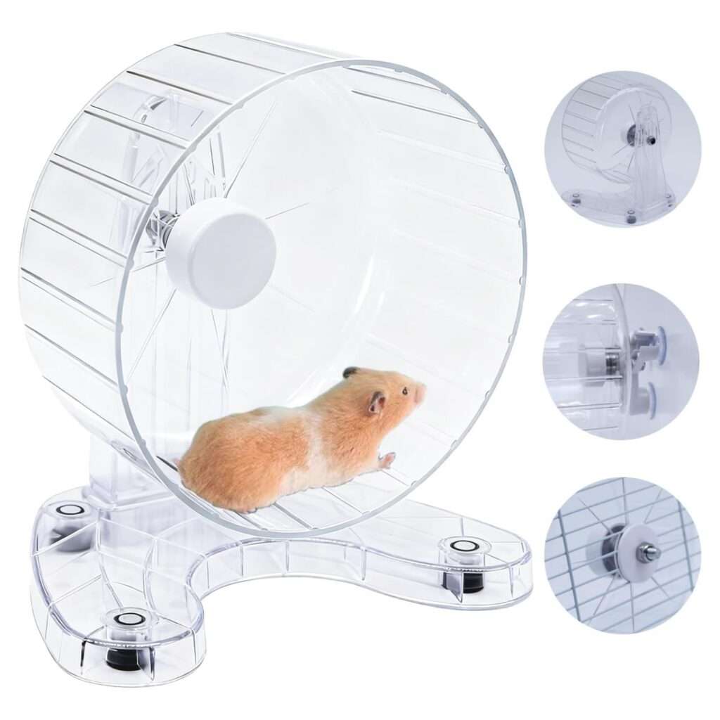 Resistente a Roer PC archivos - Dr Mascota