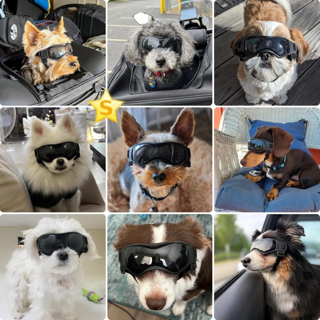 Lentes de Sol Antiparras Perros Pequeños UV Ajustable Auto y Viento ...