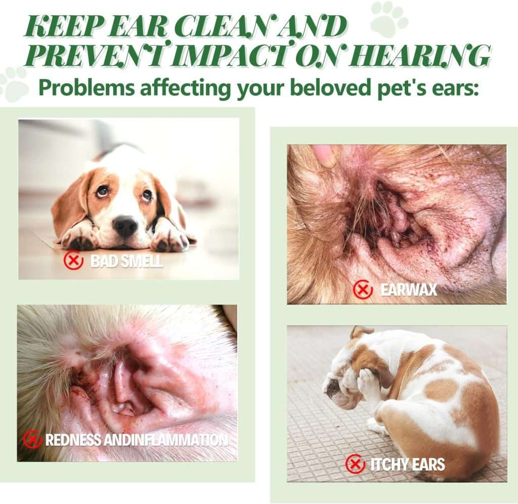 Kit Veterinario 3 Piezas Depilacion Orejas Perros Polvo Pinzas y ...