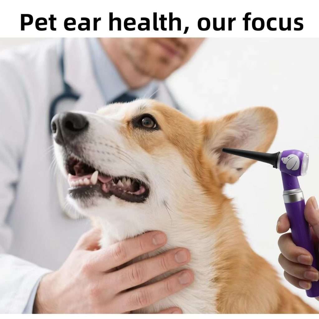 Otoscopio Veterinario LED con Especulos Extra Largos para Perros y ...