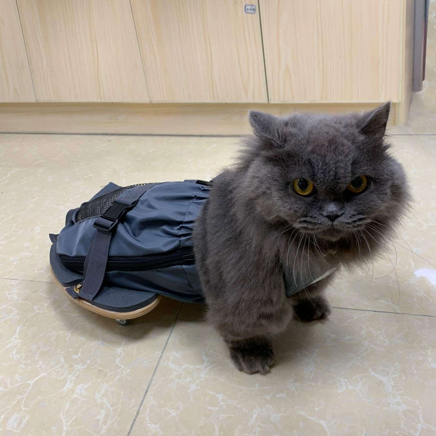 Scooter de Arrastre para Perros Paralizados (Bolsa con 4 Ruedas 360 ...