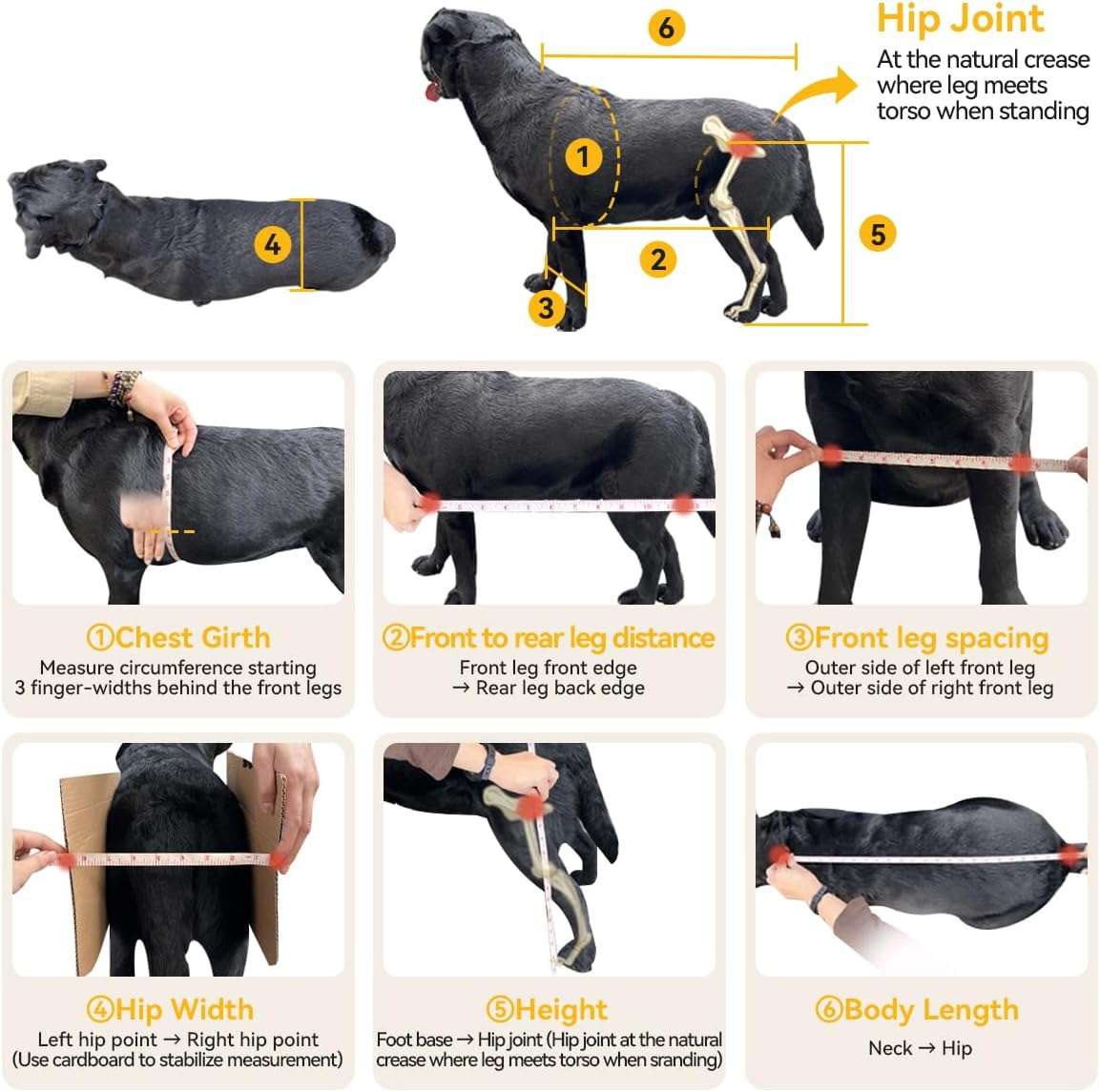 Silla de Ruedas Perro Mediano (Talla L - Hasta 34kg) con Arnés de Malla ...