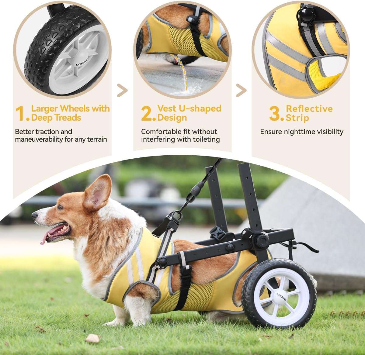 Silla de Ruedas Perro Mediano (Talla L - Hasta 34kg) con Arnés de Malla ...