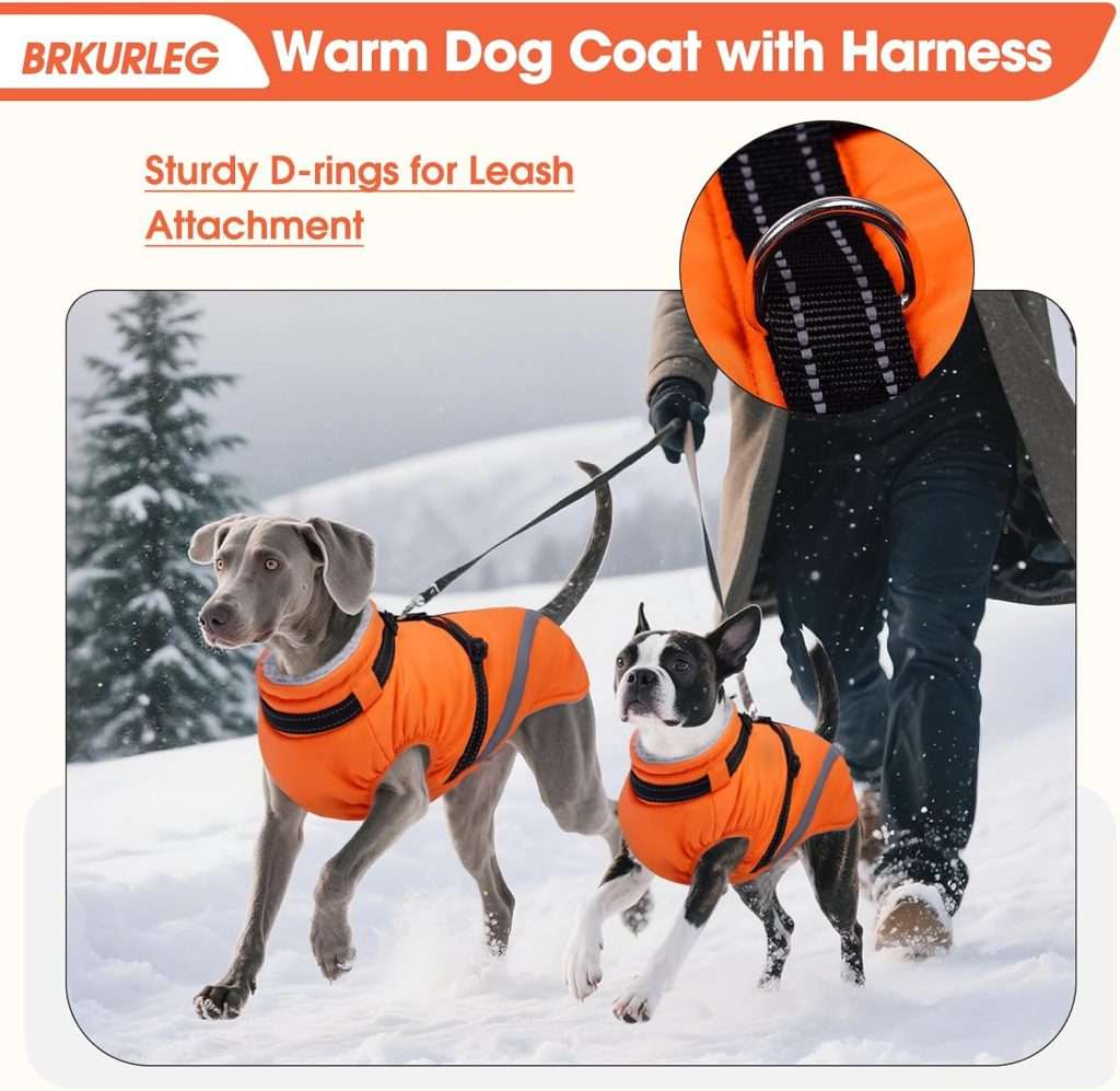 Chaqueta Impermeable para Perro con Sujeción - Trekking y Lluvia ...